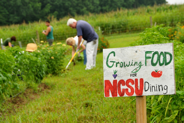 NC State Agroecology Education Programs – Center for Environmental ...