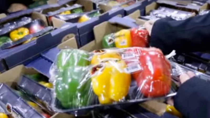 Best Practices for Grading and Packing of Fresh Produce (2015) – Center ...